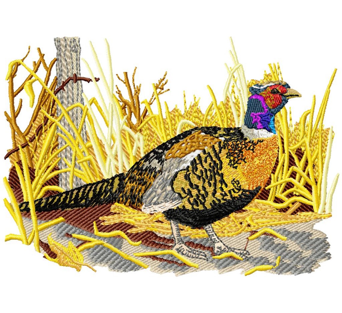 PHEASANT Single Machine Embroidery Design for 5x7 Hoop - Etsy