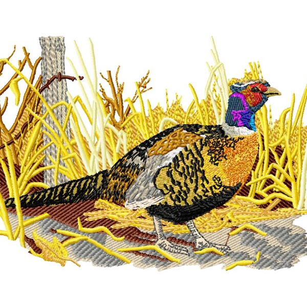 Pheasant Embroidery - Etsy