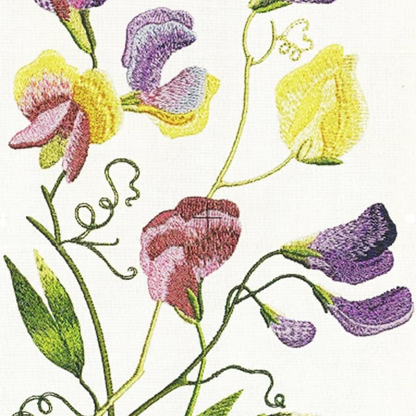 Sweet Pea Embroidery Pattern - Etsy