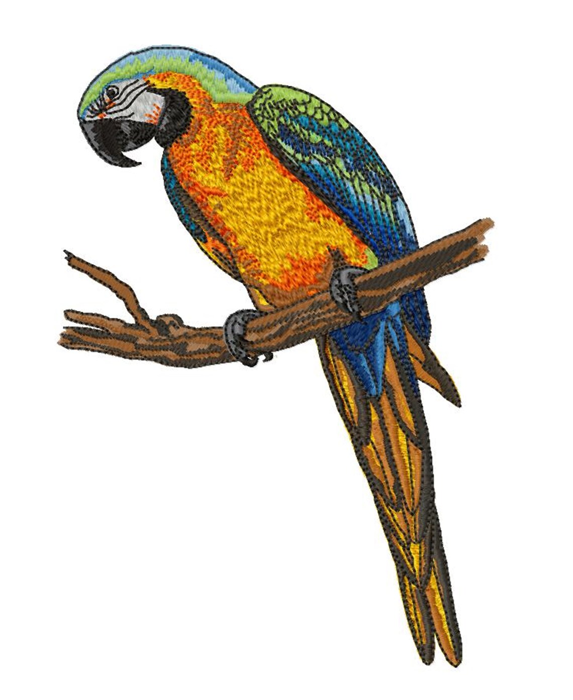 PARROT - Single Machine Embroidery Design for 5x7" Hoop in 8 Formats ...