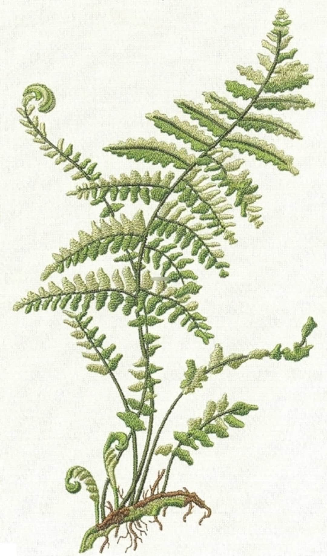 WOODLAND FERN - Single Machine Embroidery Design for 6x10" Hoop in 8 ...