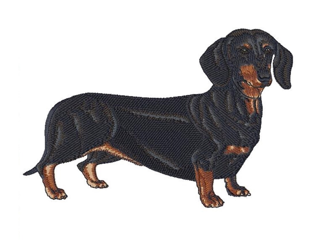 DACHSHUND - Single Machine Embroidery Design for 6x10" Hoop (digital ...