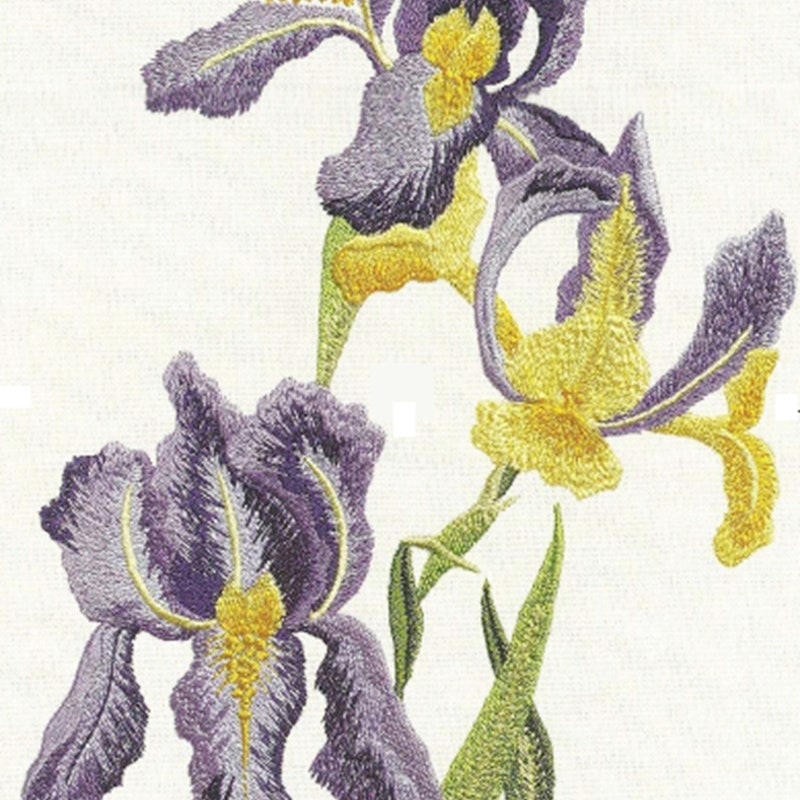 Iris Embroidery - Etsy