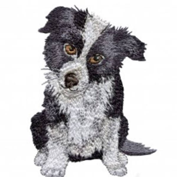 Border Embroidery - Etsy