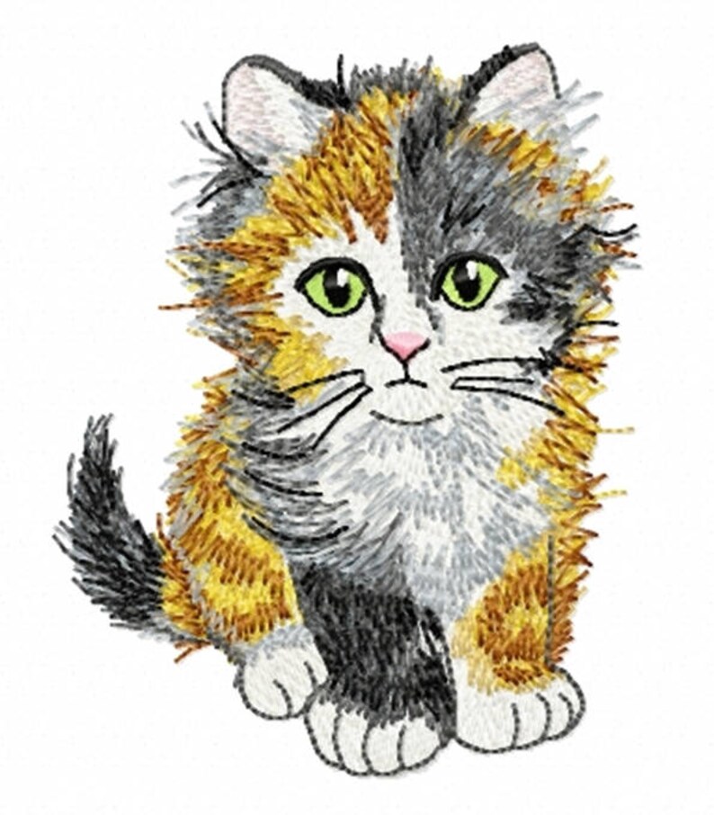 FLUFFY KITTEN Single Machine Embroidery Design for 5x7 - Etsy