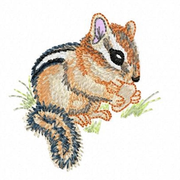 Chipmunk Embroidery - Etsy