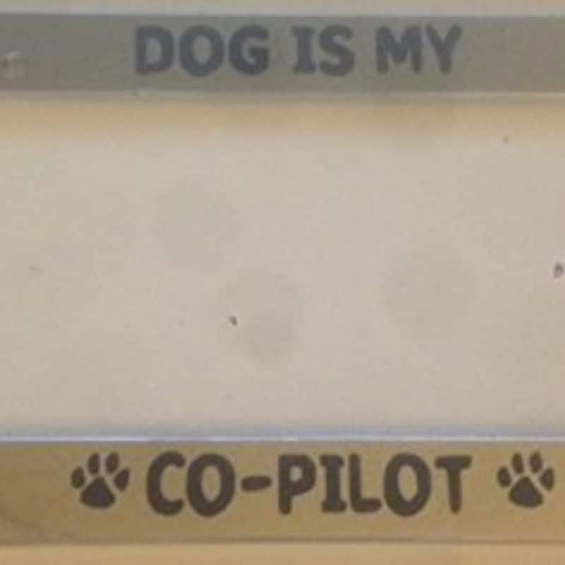 My Dog is My Copilot - Etsy