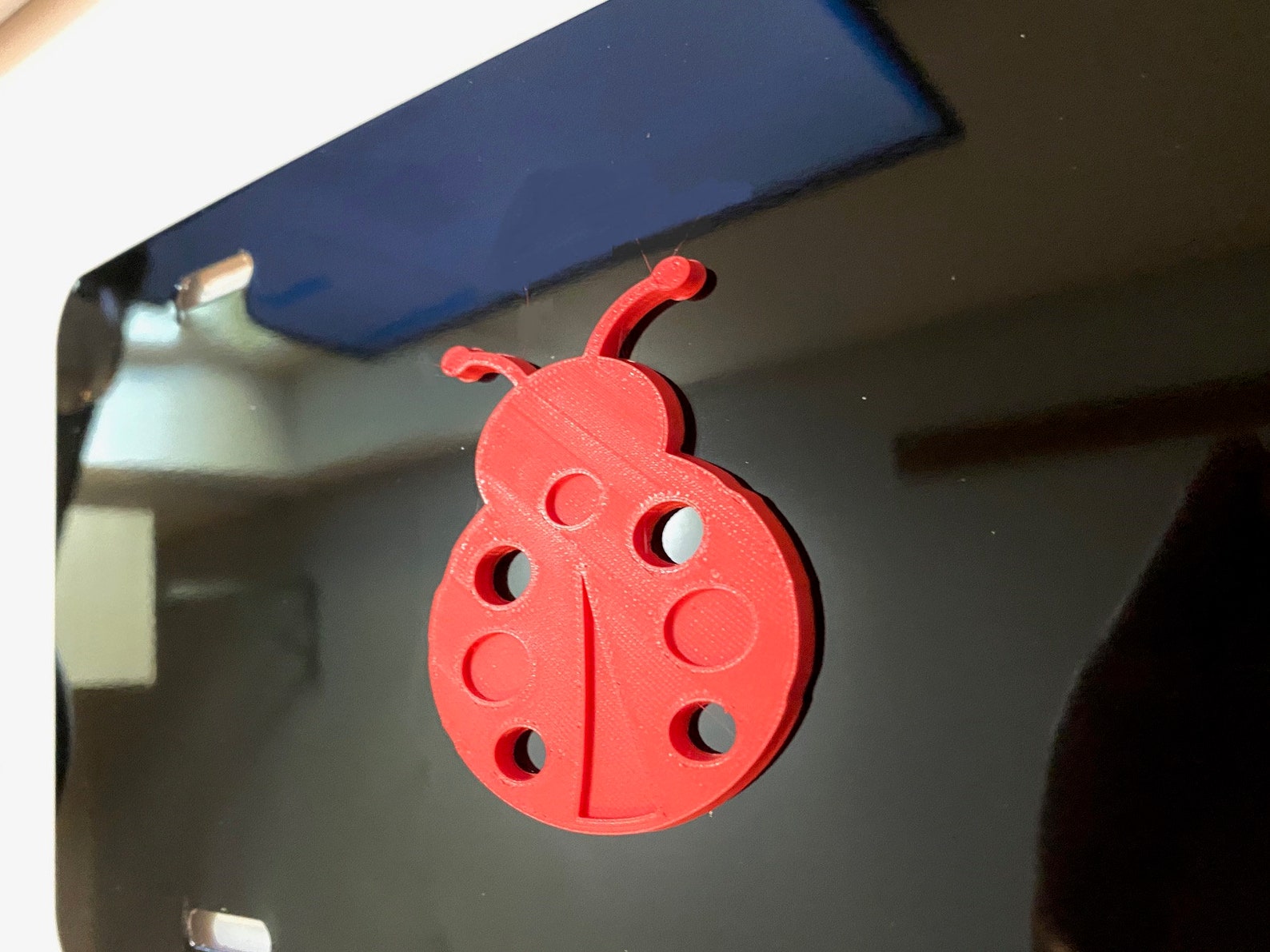 Very Cute Lady Bug in 3D Black With RED License Plate - Etsy