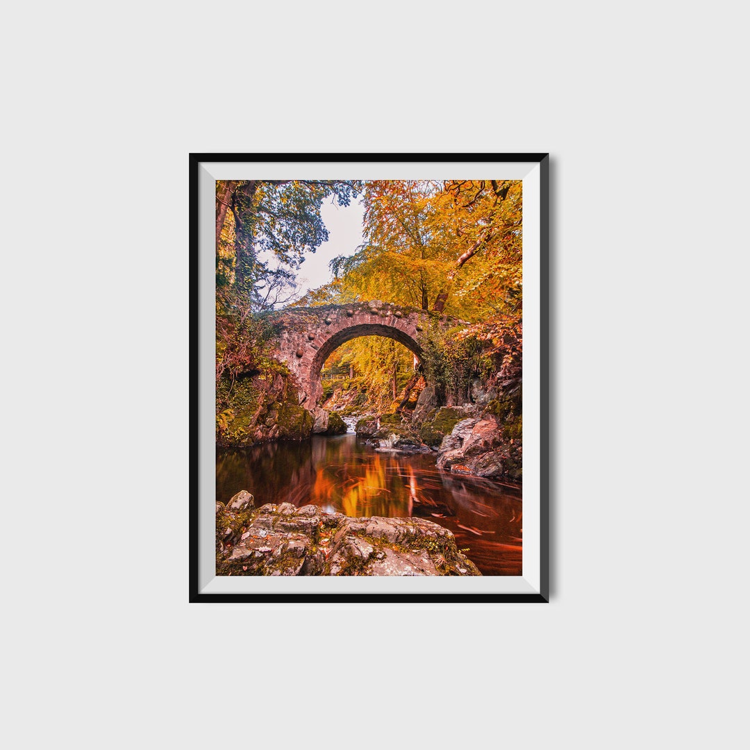 Foley's Bridge: Tollymore Forest Park in Autumn Northern Ireland ...