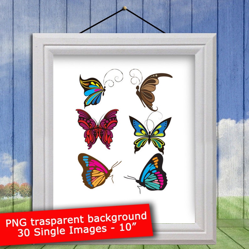 30 Butterfly Clipart Pack Butterfly Clip Art Butterflies - Etsy