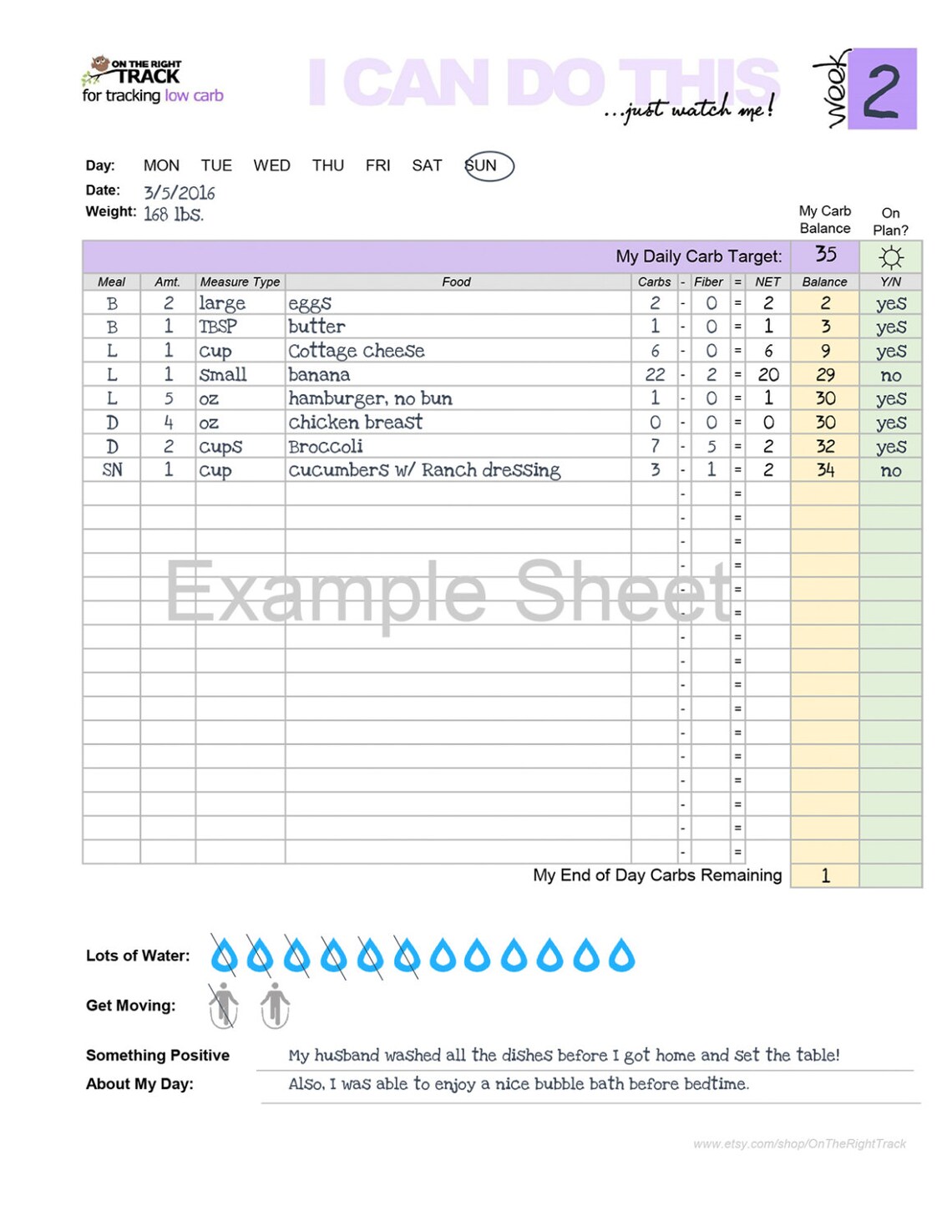 Daily Food Tracking Sheet for Low Carb & Keto - Etsy