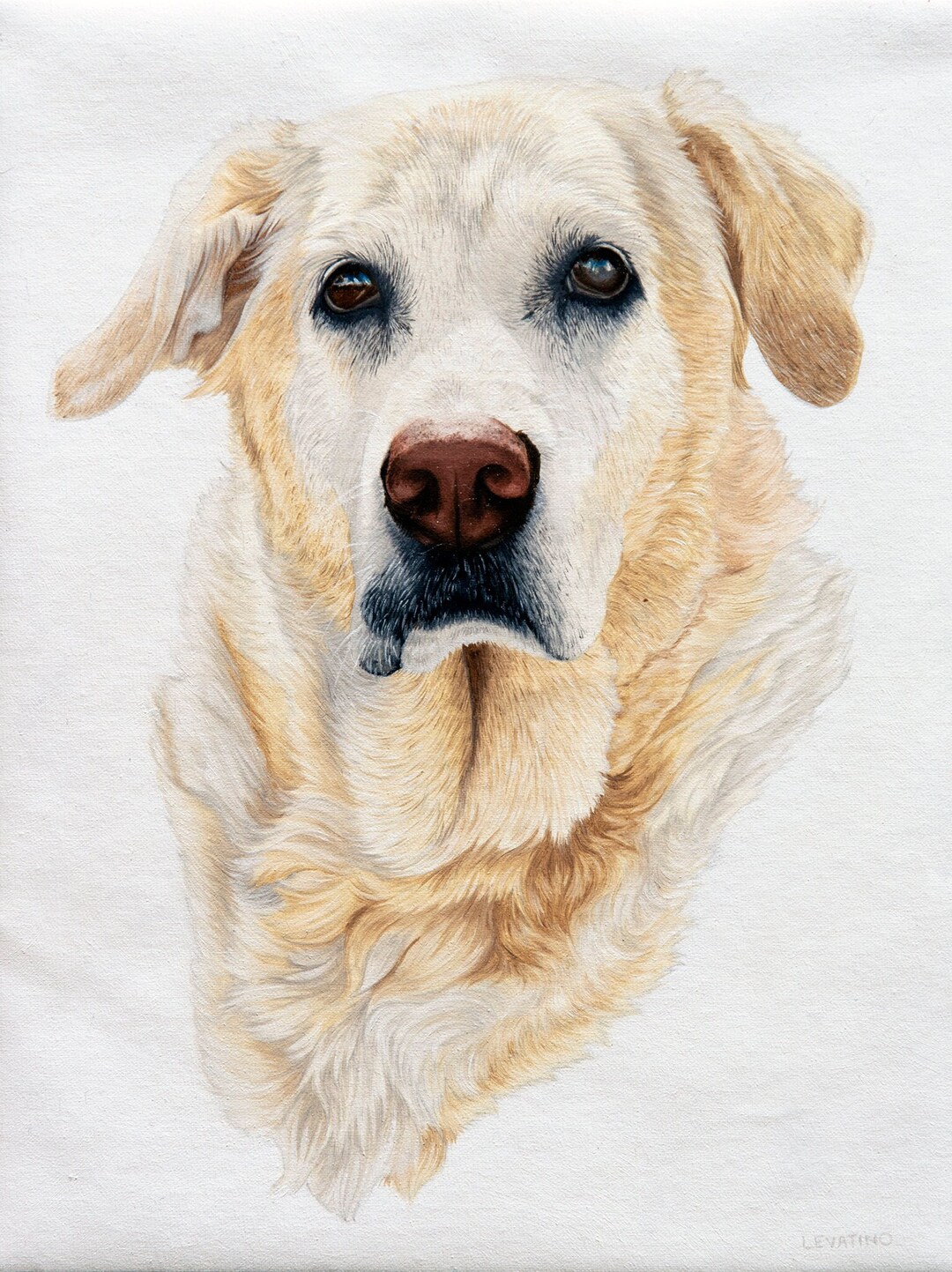 Custom Portrait Oil Painting solid Color Background - Etsy