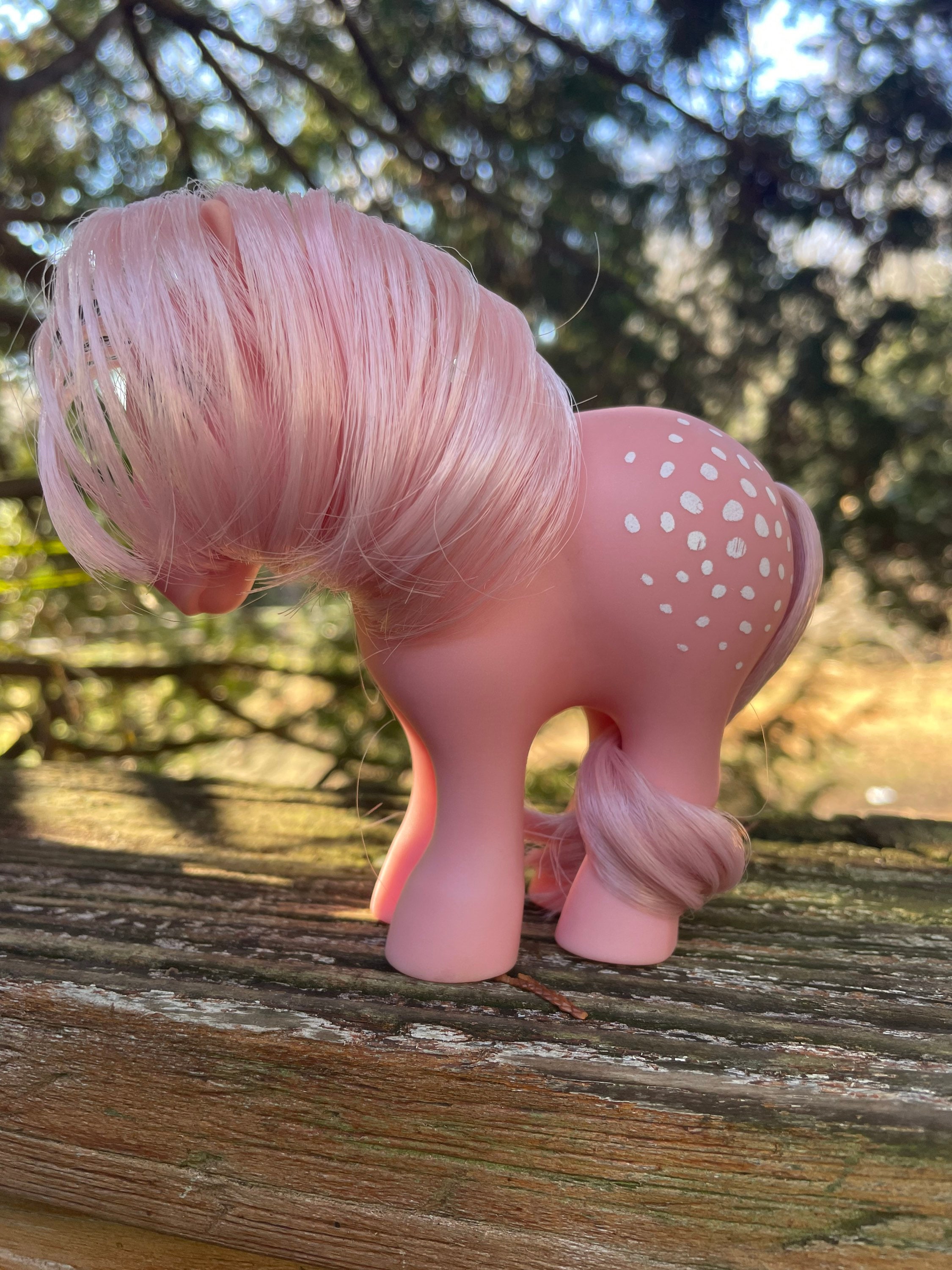 G1 My Little Pony Cotton Candy - Etsy