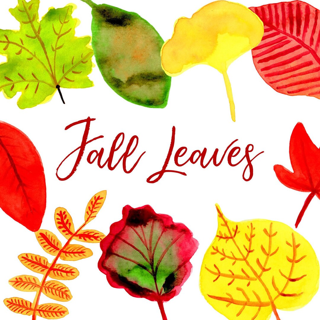 Fall Leaves Clipart Autumn Leaves Clip Art Watercolor Nature 13 ...