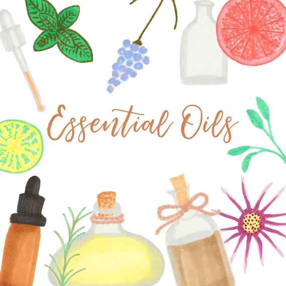 Lavender Essential Oils Clip Art