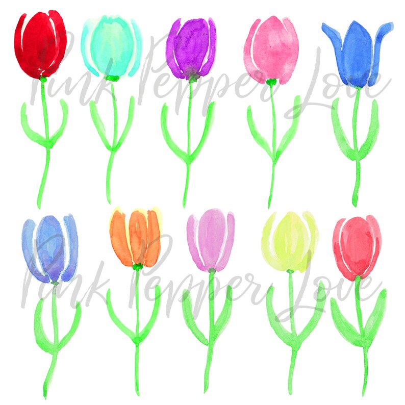 Spring Tulips Clipart Watercolor Clip Art Colors Rainbow - Etsy