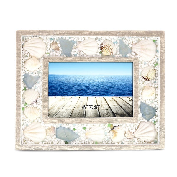 Sea Shell Holder - Etsy