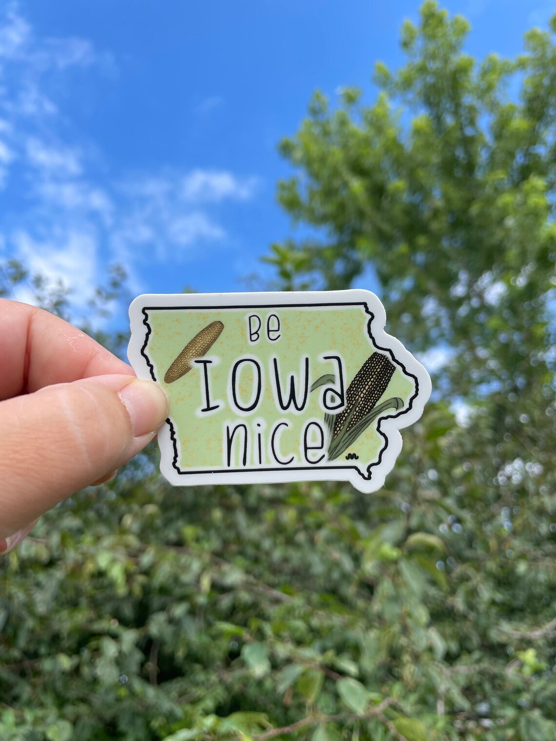 Iowa Nice Sticker Iowa Pride Phone Decal Hawkeye Sticker for - Etsy México
