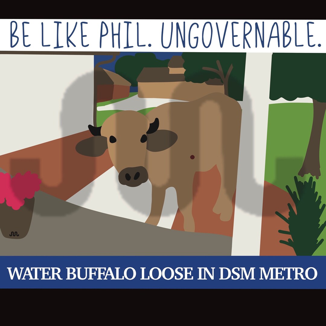 Water Buffalo Phil Iowa DSM Metro PNG DIGITAL File, Funny Meme ...