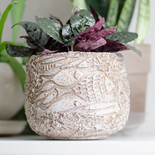 Fossil Planter Rustic Ceramic Plant Pot Succulent Air | Etsy