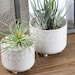 Footed Moon Phase Planter Ceramic Plant Pot, Footed/legs, Moon ...