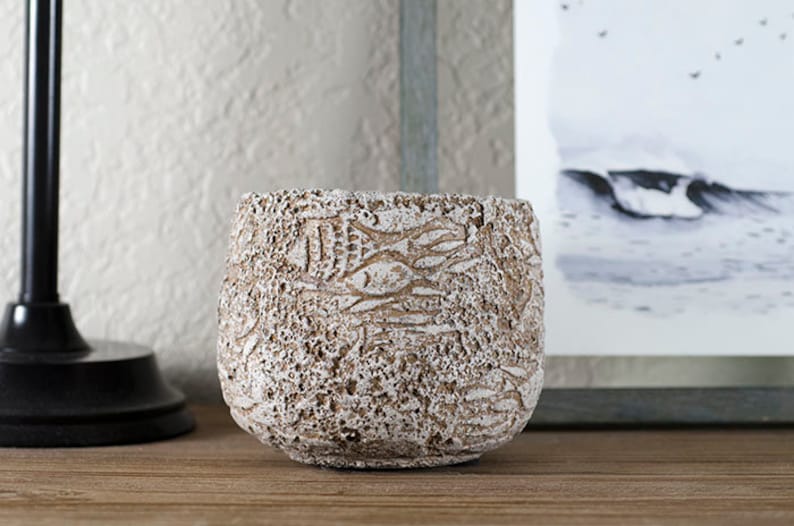 Fossil Planter - Rustic Ceramic | Plant Pot, Succulent Air Plant Cactus ...