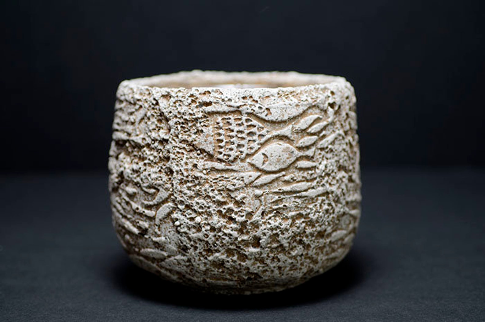 Fossil Planter - Rustic Ceramic | Plant Pot, Succulent Air Plant Cactus ...