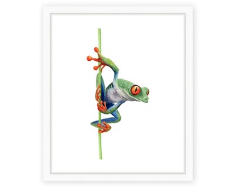 Tree Frog Print - Etsy