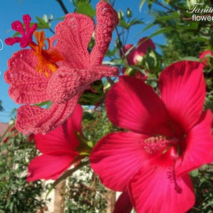 Pattern Hibiscus Realistic Crochet Flower. How to Make, Tutorial PDF ...