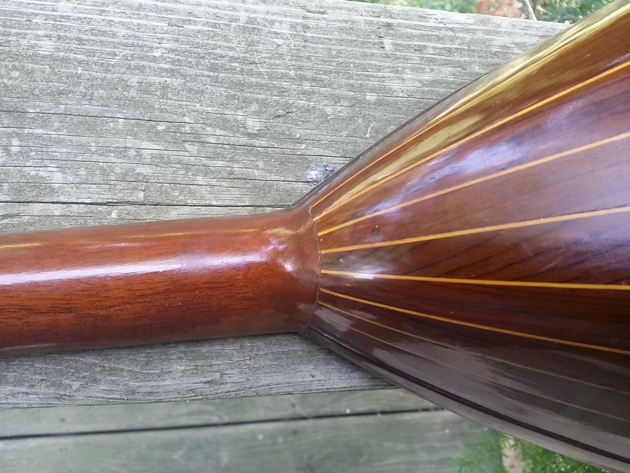 Mandolin Bowl Back Rex Professional by Gretsch Has an Amazing Voice ...