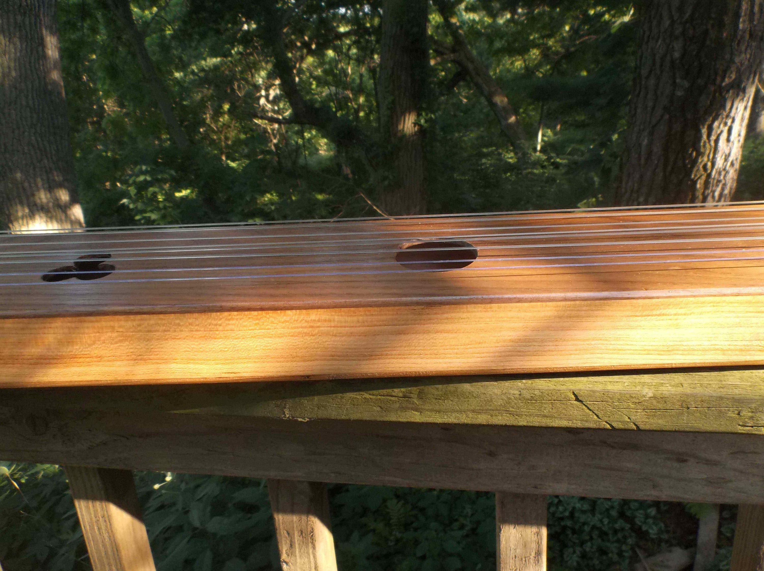Aeolian Harp Rich American Black Walnut Surrounded With American Wild ...