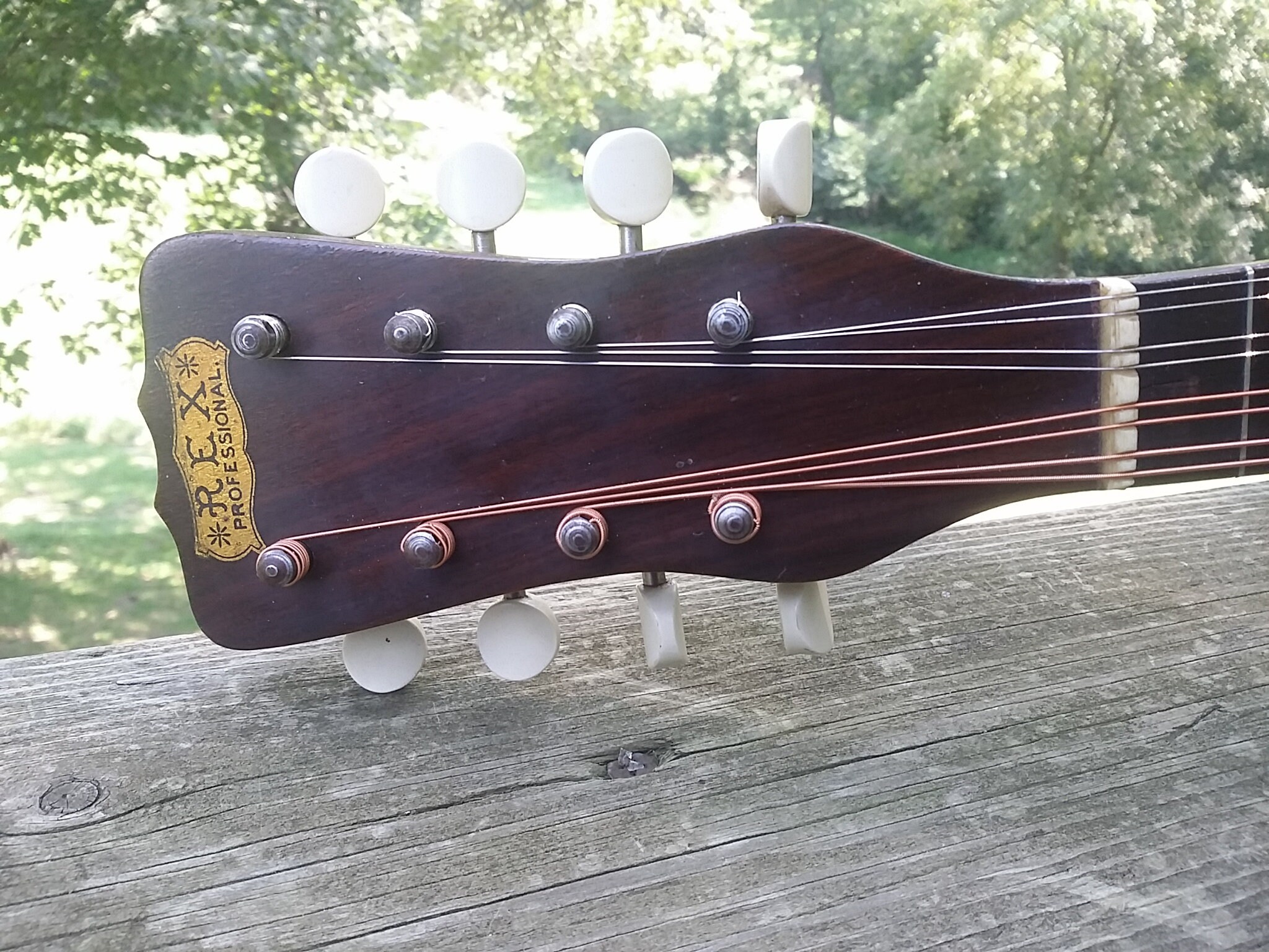 Mandolin Bowl Back Rex Professional by Gretsch Has an Amazing Voice ...