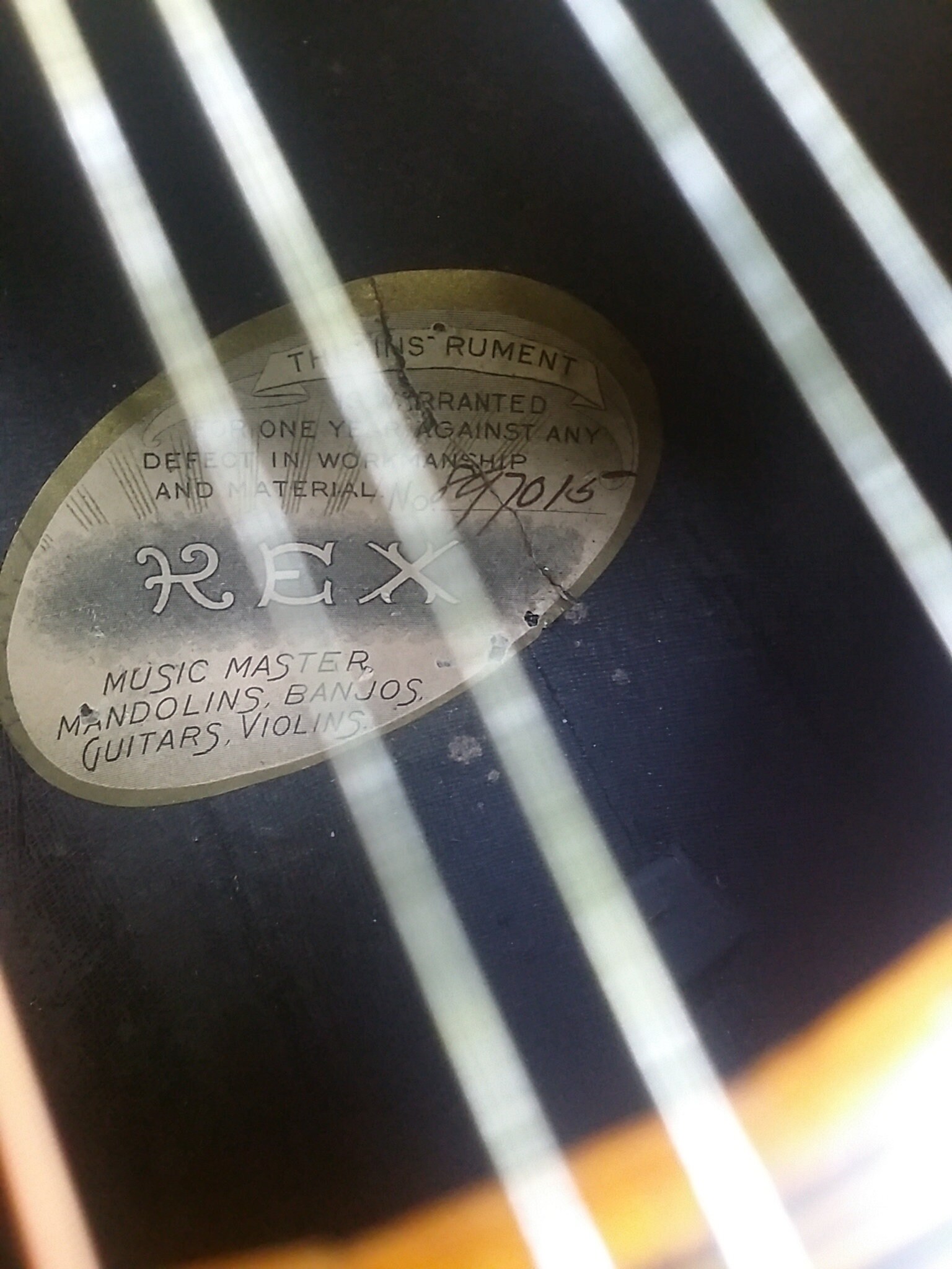 Mandolin Bowl Back Rex Professional by Gretsch Has an Amazing Voice ...