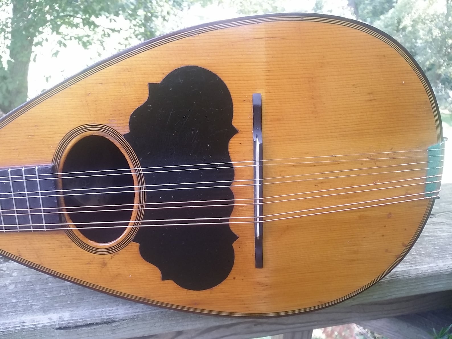 Mandolin Bowl Back Rex Professional by Gretsch Has an Amazing Voice ...