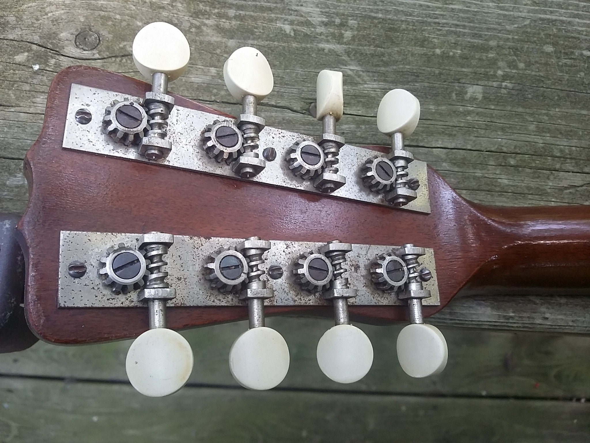 Mandolin Bowl Back Rex Professional by Gretsch Has an Amazing Voice ...