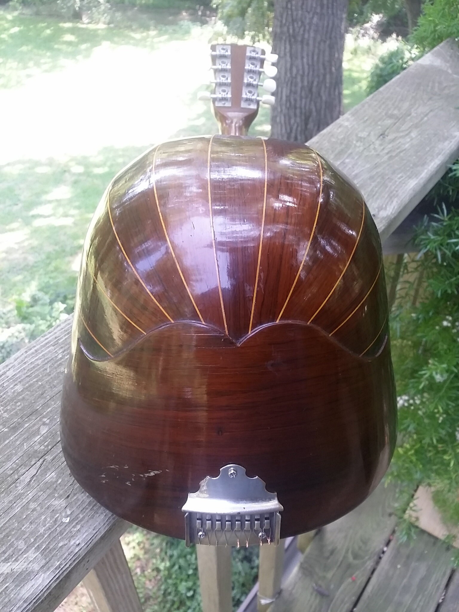 Mandolin Bowl Back Rex Professional by Gretsch Has an Amazing Voice ...