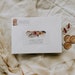 Boho Address Label Template, Floral Return Address Labels, Fall Wedding ...