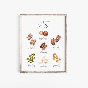 Printable Kitchen Decor, Types of Nuts Wall Print, Watercolor Nuts ...