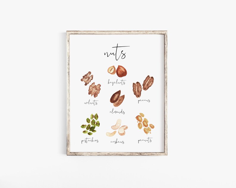 Printable Kitchen Decor Types of Nuts Wall Print Watercolor | Etsy