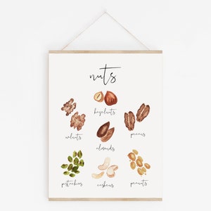 Printable Kitchen Decor, Types of Nuts Wall Print, Watercolor Nuts ...