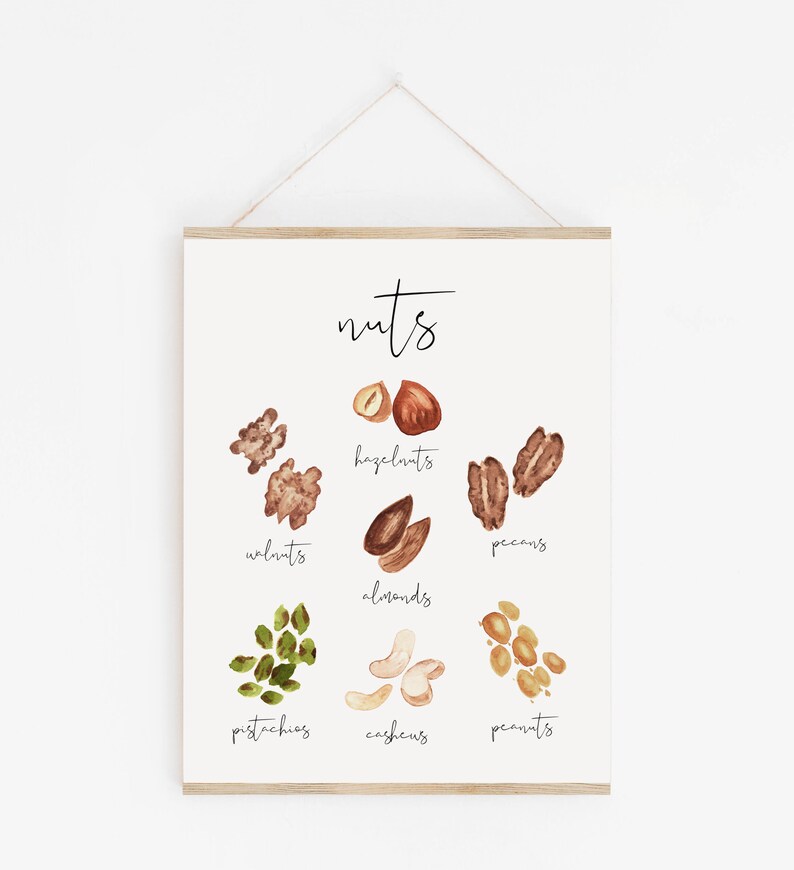 Printable Kitchen Decor Types of Nuts Wall Print Watercolor | Etsy