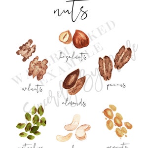 Printable Kitchen Decor, Types of Nuts Wall Print, Watercolor Nuts ...