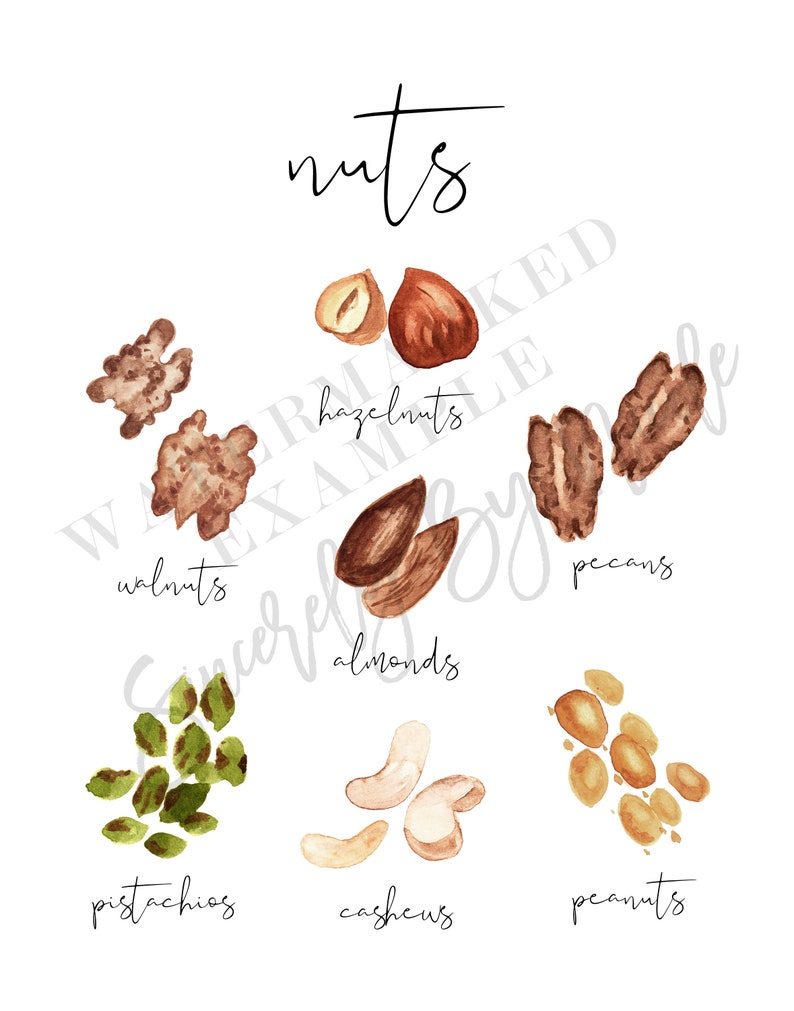Printable Kitchen Decor Types of Nuts Wall Print Watercolor | Etsy