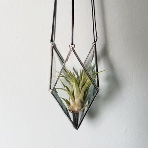 Iridescent Glass Air Plant Dangler Handmade Stained Glass - Etsy