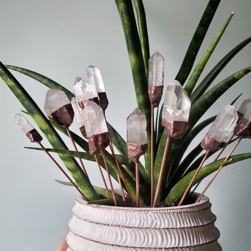 Crystal Planter - Etsy