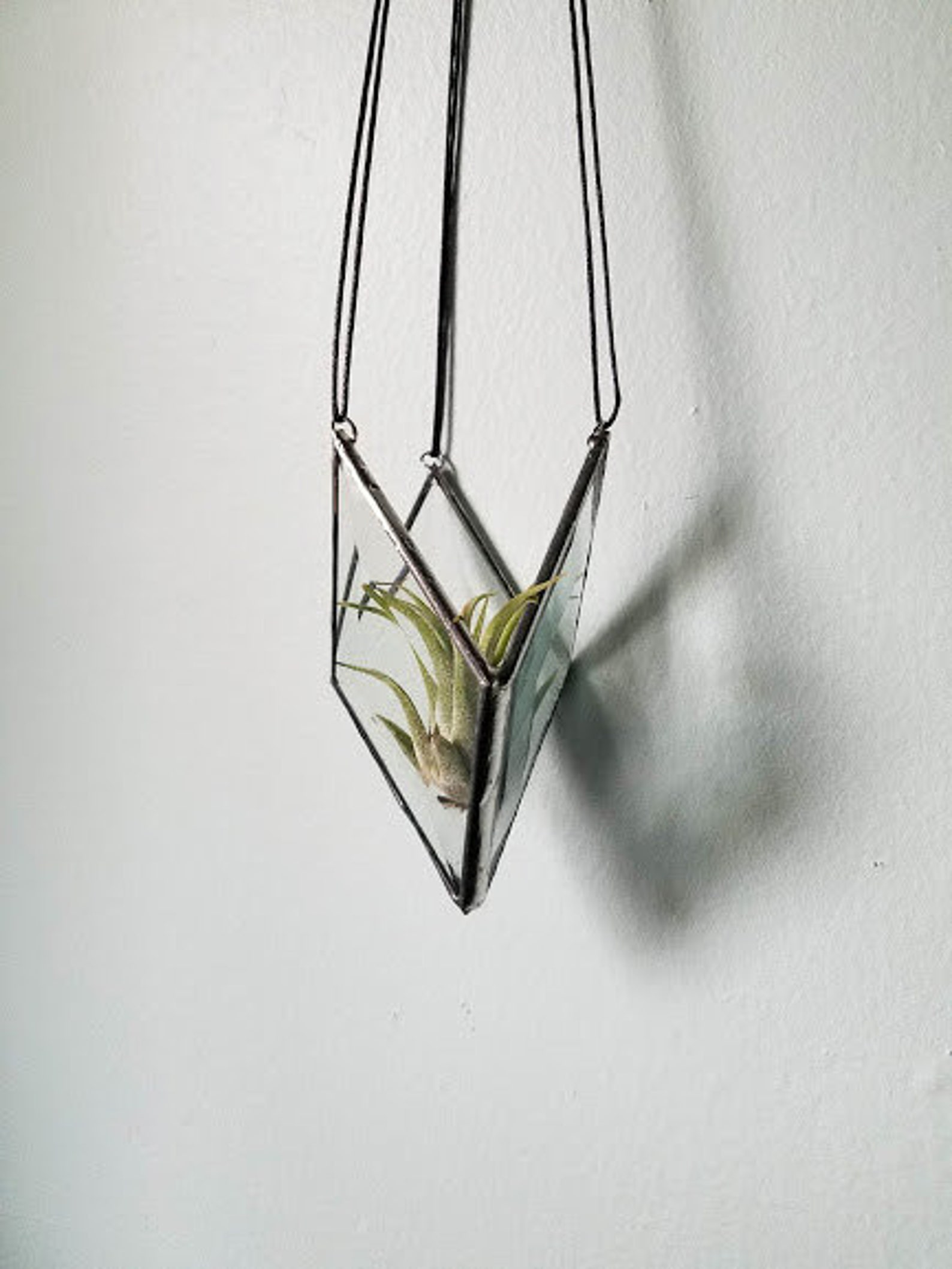 Beveled Air Plant Dangler Hanging Prism Rainbow Maker | Etsy