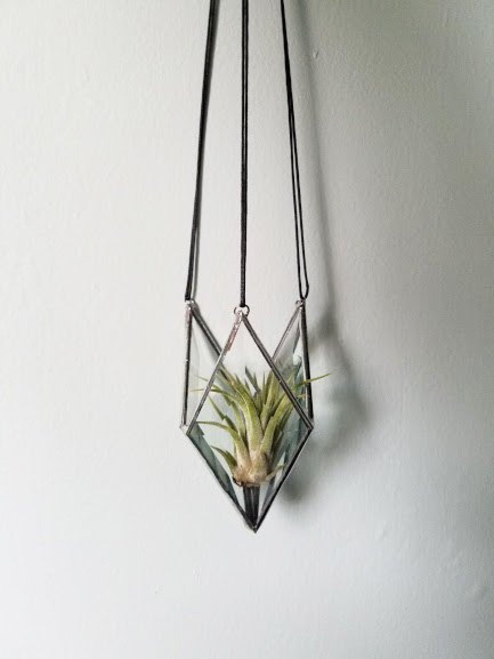 Beveled Air Plant Dangler Hanging Prism Rainbow Maker | Etsy