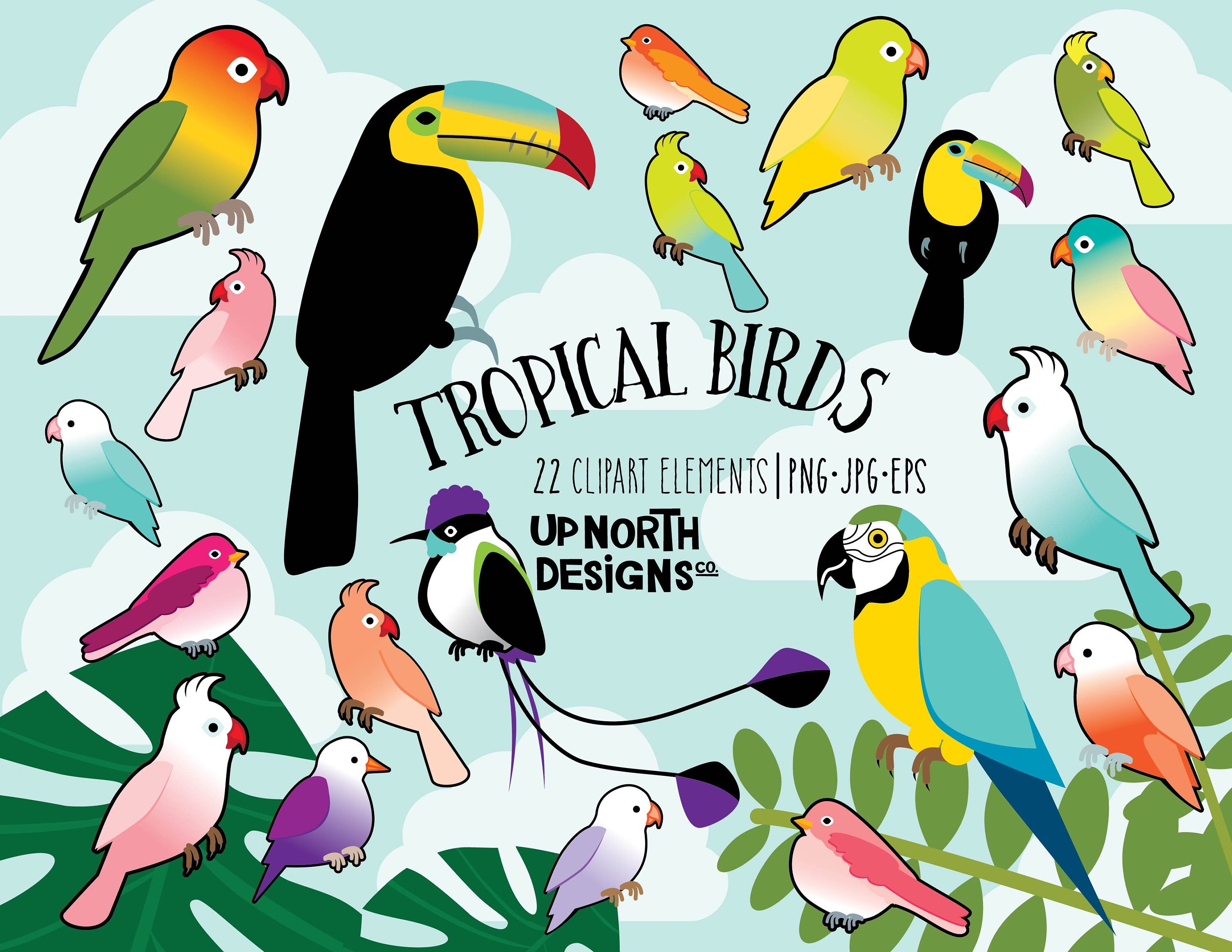 Tropical Bird Clipart Set Including Parrot, Macaw, Toucan, Cockatiel ...