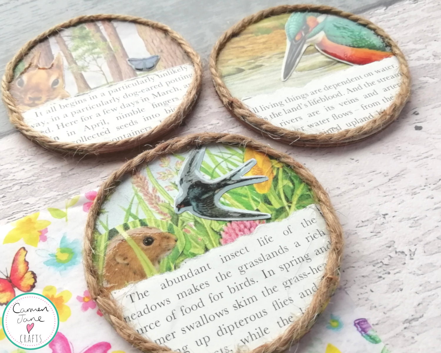 Wildlife Magnet Set Letterbox Gift, Squirrel, Kingfisher, Flora & Fauna ...