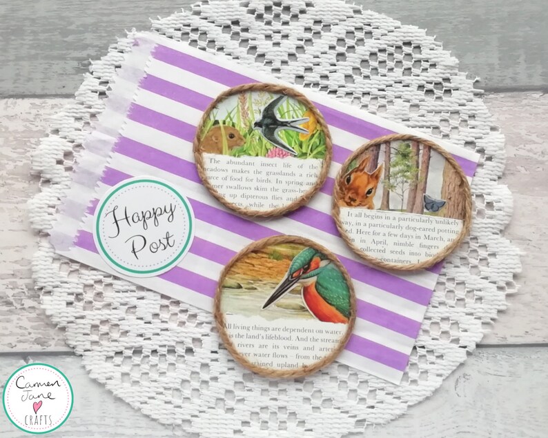 Wildlife Magnet Set Letterbox Gift, Squirrel, Kingfisher, Flora & Fauna ...